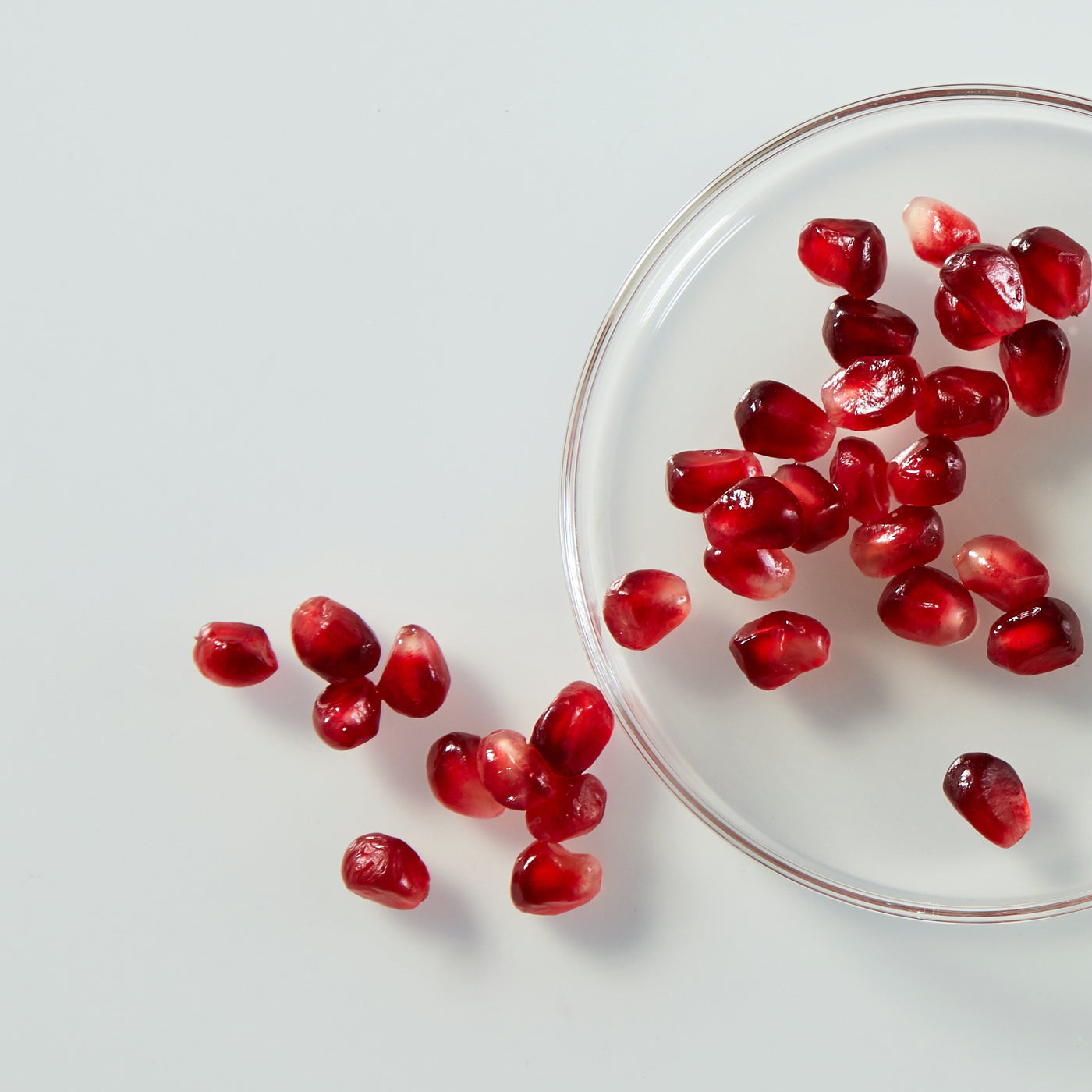 The science - core-ritual